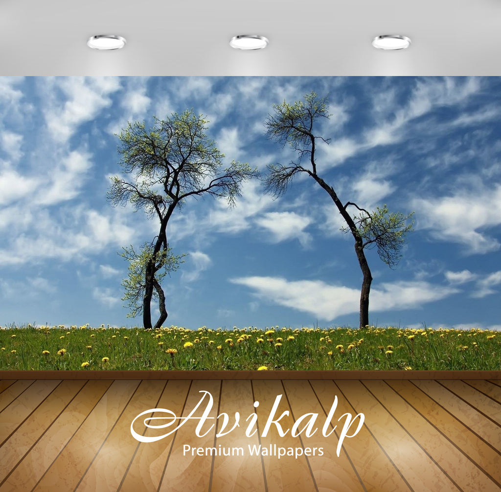 Avikalp Exclusive Awi6591 Tree Arch Nature Full HD Wallpapers for Livi ...